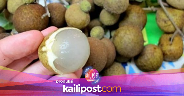 11 Manfaat Buah Lengkeng untuk Kesehatan Tubuh - KAILIPOST