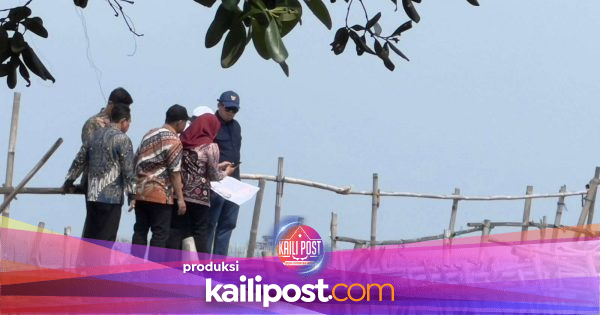Kades Kohod Diduga Raup Rp23,2 M dari Pemalsuan Dokumen Pagar Laut - KAILIPOST
