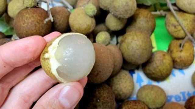 11 Manfaat Buah Lengkeng untuk Kesehatan Tubuh - KAILIPOST